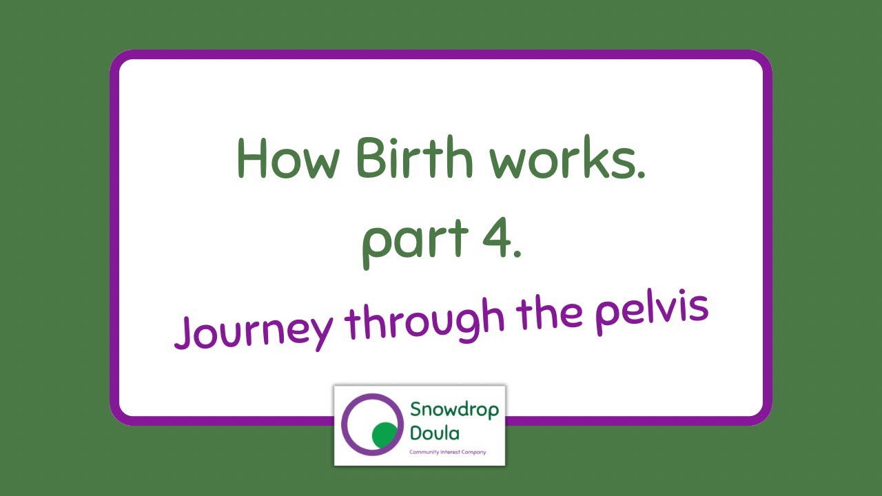 How Birth works; part four. The journey through the pelvis. - YouTube
