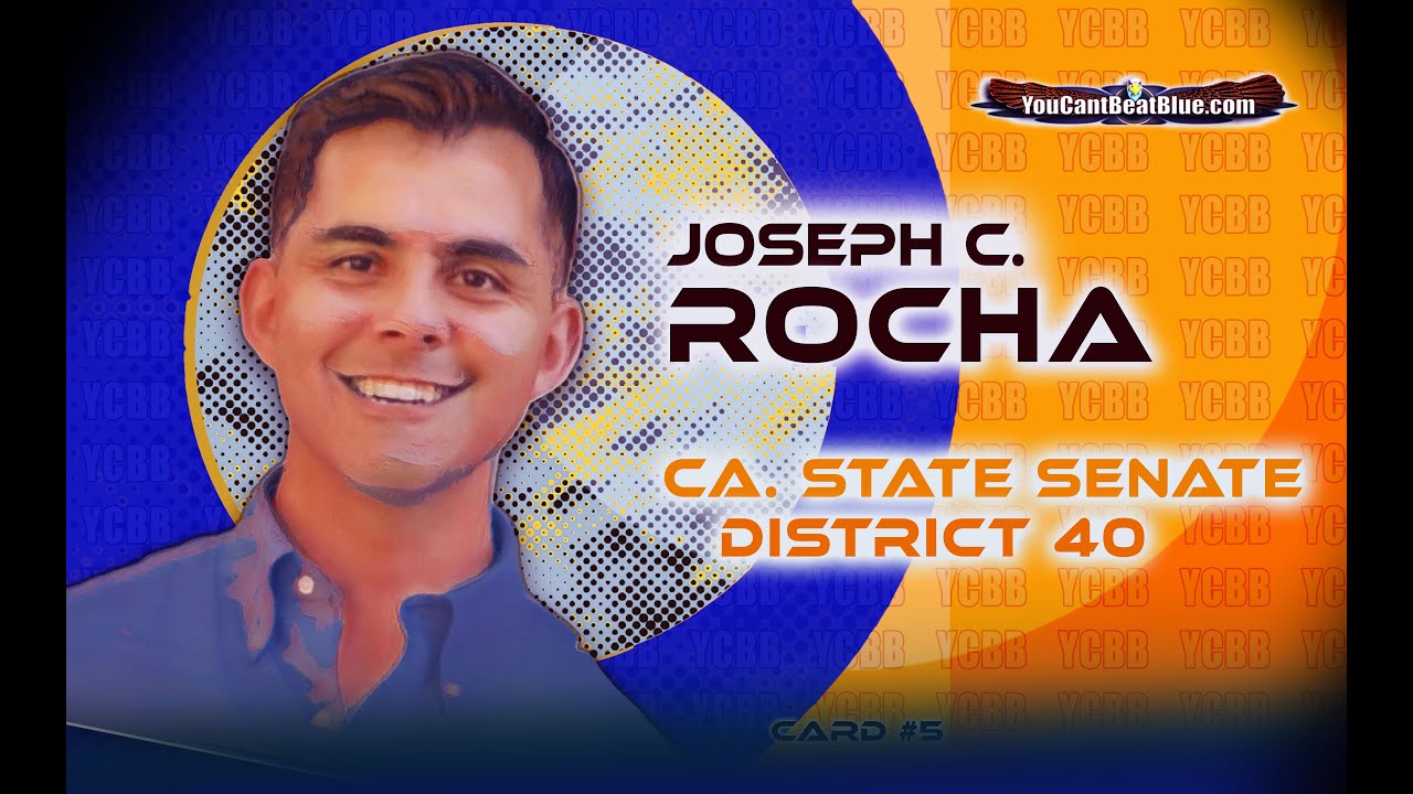 Dems 2022 on Gun Reform - JOSEPH ROCHA, Candidate, CA State Senate ...
