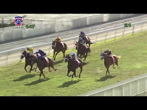 RM14 R7 | Marula | R.Bheekary