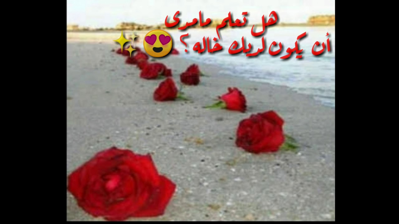 حالات واتس اب إلى خالتي 💞 عن الخاله Youtube
