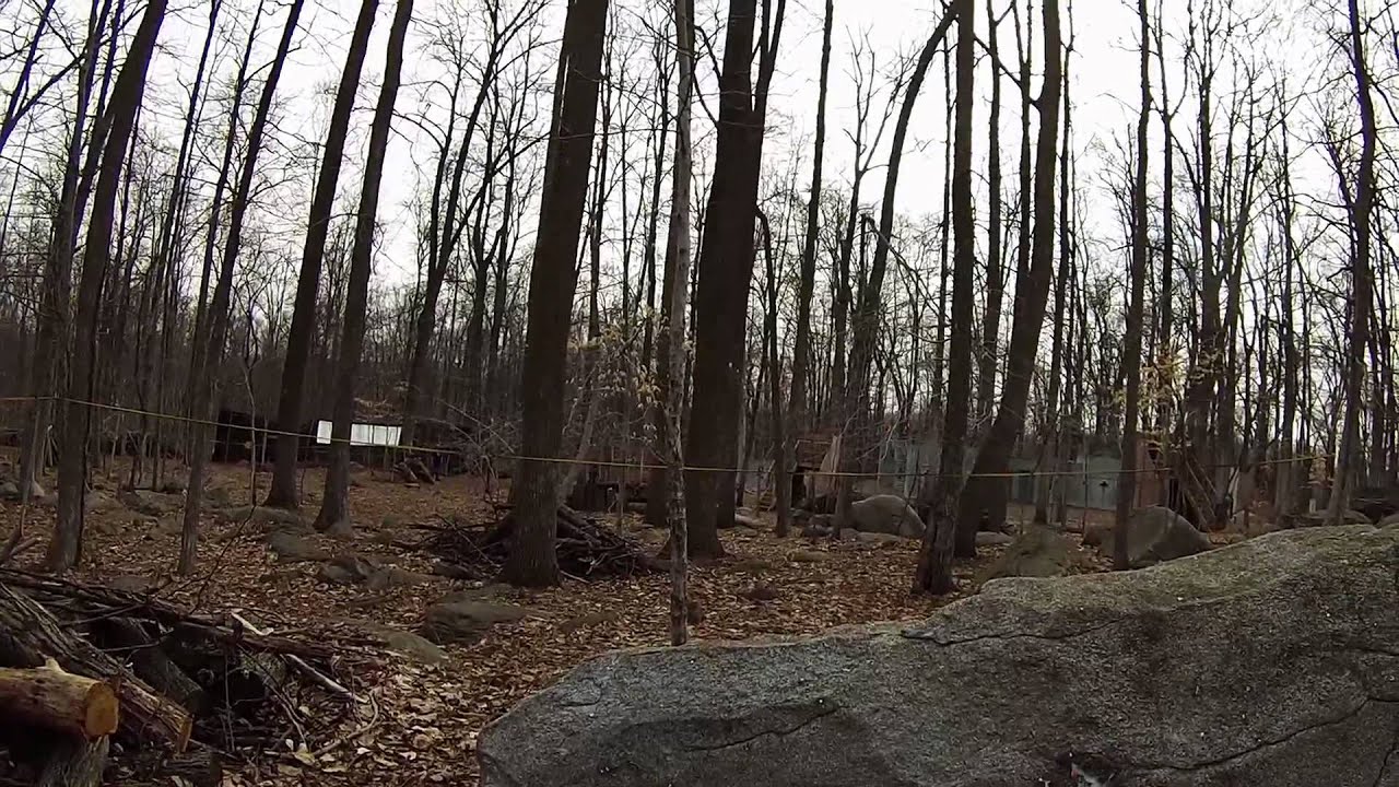 Poco Loco airsoft game - YouTube