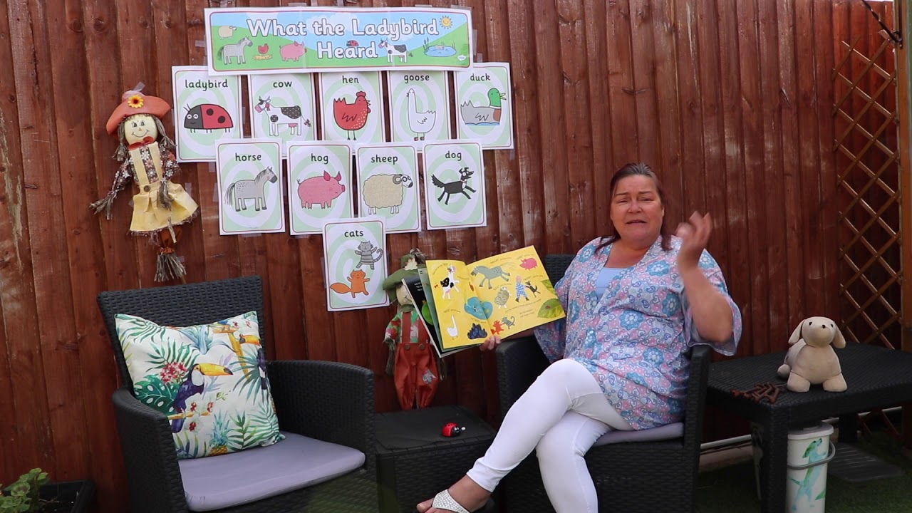 Ysgol Ty Coch Story Time: What the Ladybird Heard - YouTube