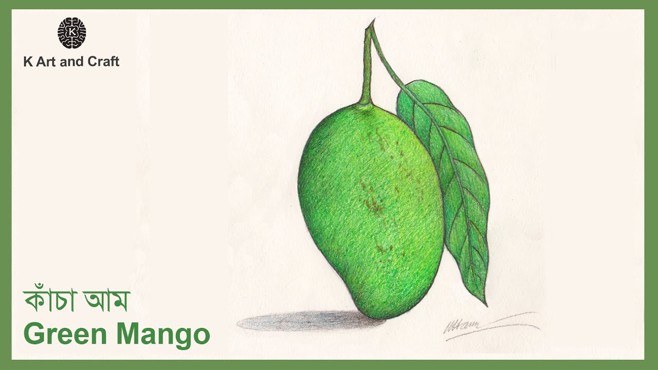 How to draw easy mango/ step by step very easy green mango drawing with ...