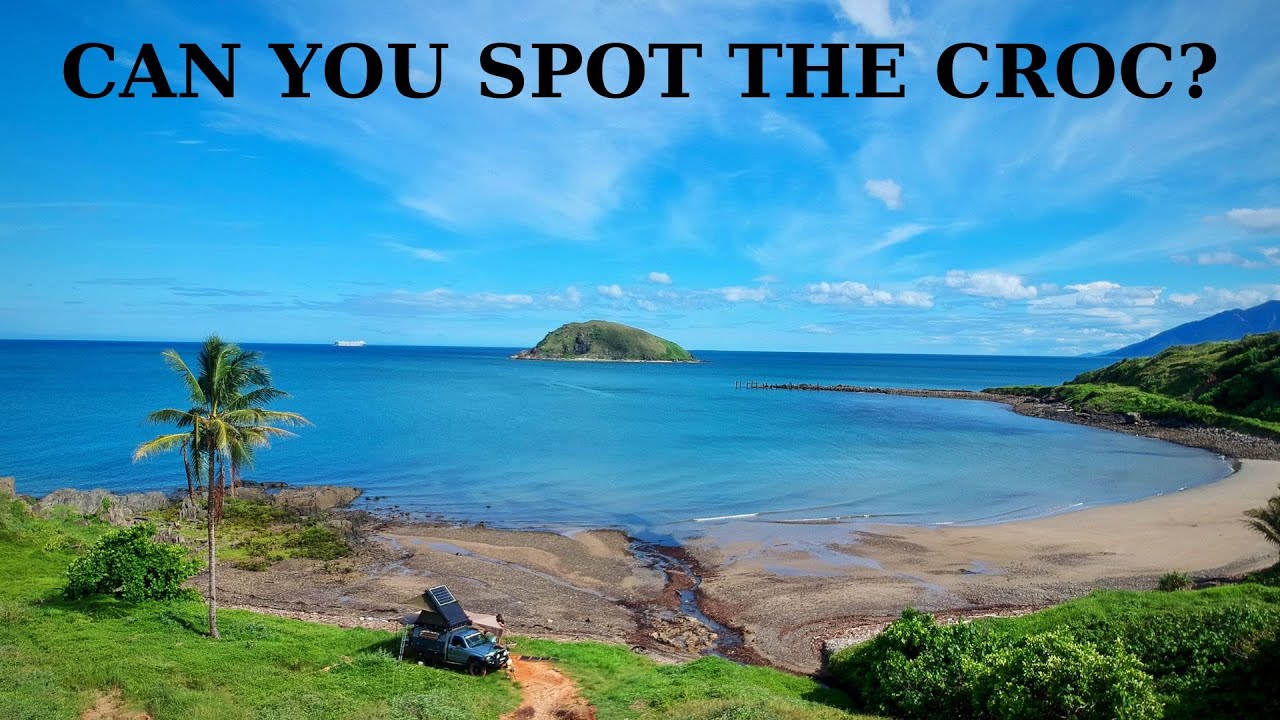 Archer Point Camping and Fishing - Cooktown - Big Salt Water Crocodile ...
