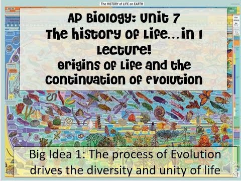 AP Biology Unit 7 Origins of Life and the Continuation of Evolution ...