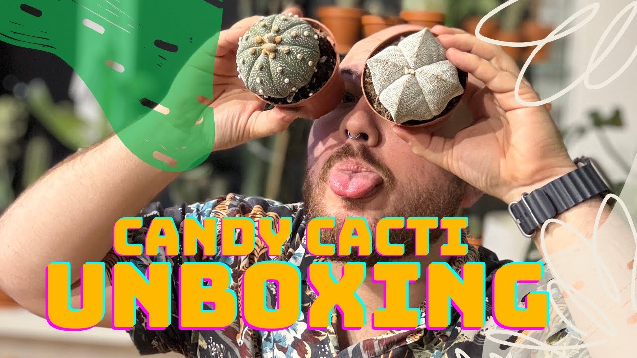 Boski Unboxing od Candy Cacti! 🌵🌵 - YouTube