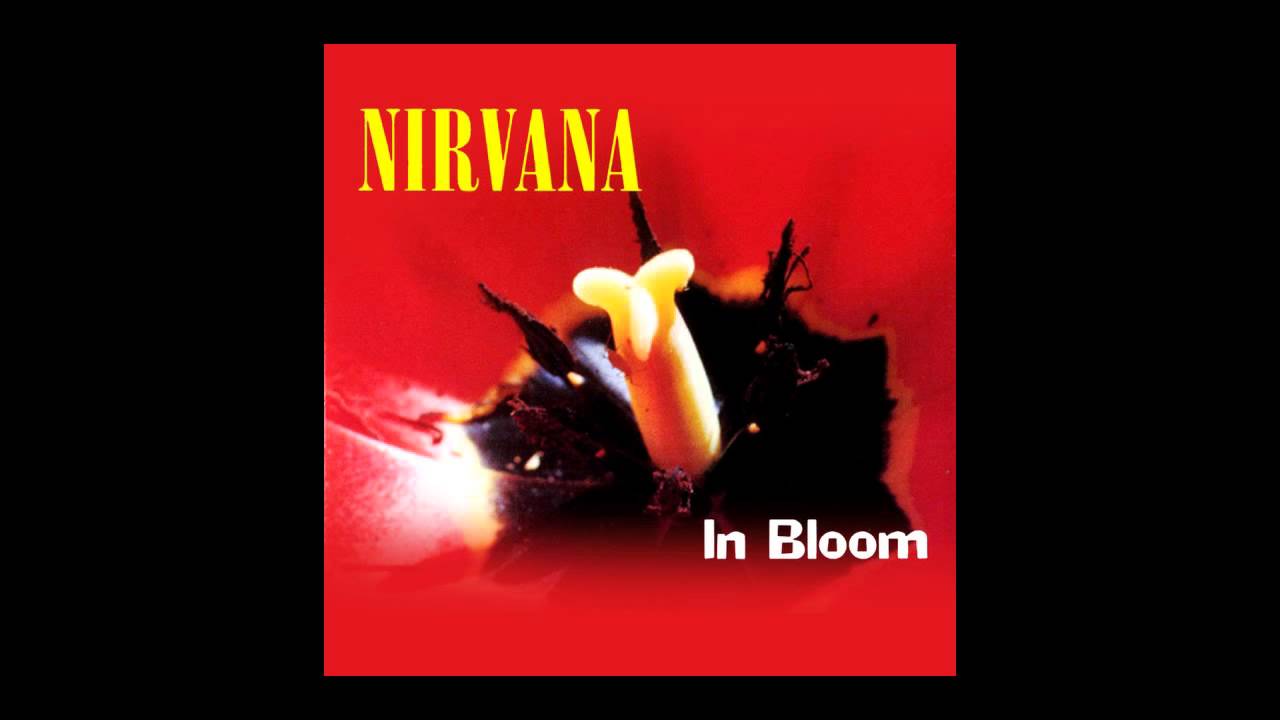 Tim Chiraz and Scott Rossano - In Bloom (Nirvana) - YouTube
