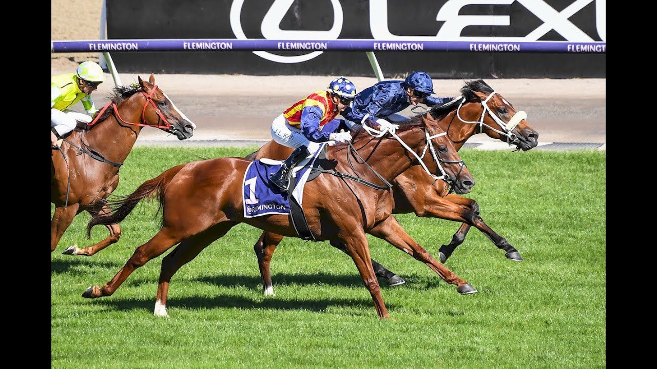 Flemington Racing Preview (G1) Black Caviar Lightning Stakes Day ! (18. ...