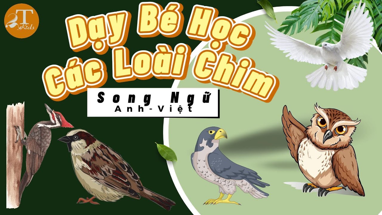 CON GÌ ĐÂY? Dạy Bé Đọc Tên Các Loài Chim: Chim Đại Bàng 🦅 Eagle, Chim ...