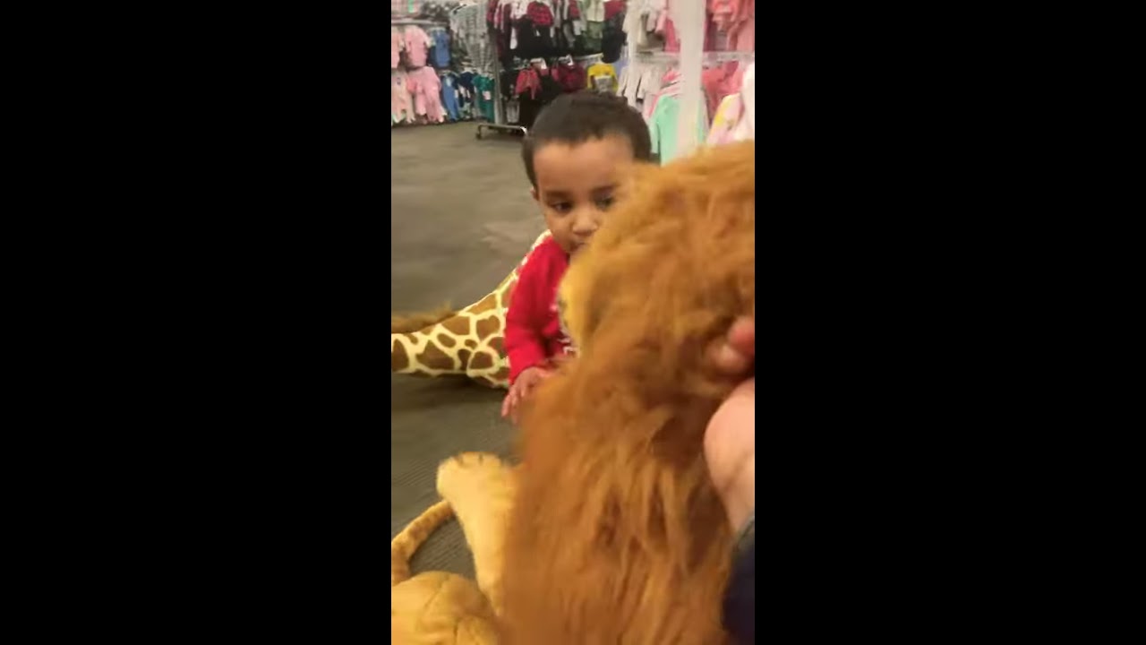 How to Tame the Lions !! - YouTube