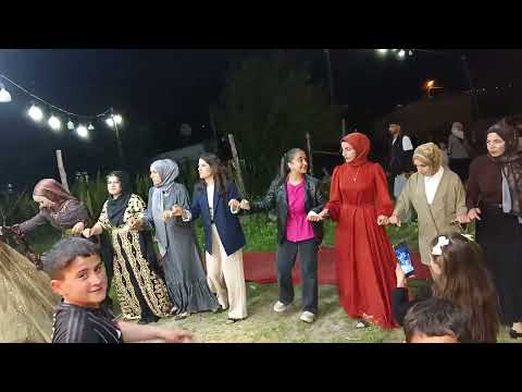 Muş Bulanık Sarıpınar Düğünleri Ağır Halay Mir Müzik Zeynep Çimenli’nin Düğünü