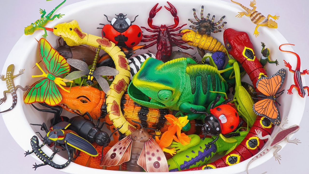 ZURU ROBO ALIVE COLLECTION | UNBOXING Robo Chameleon, Robo Snake , Robo ...