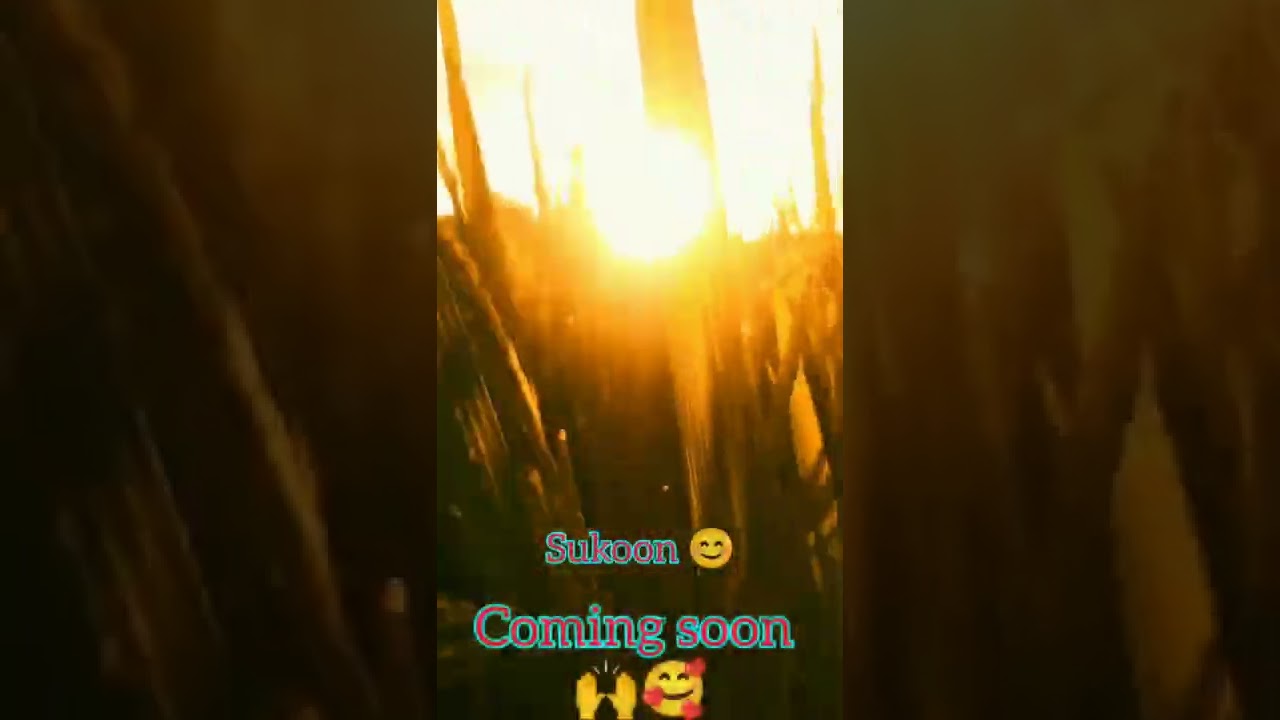 chhath puja festival of Up , Bihar and Jharkhand || 🙌🥰 - YouTube