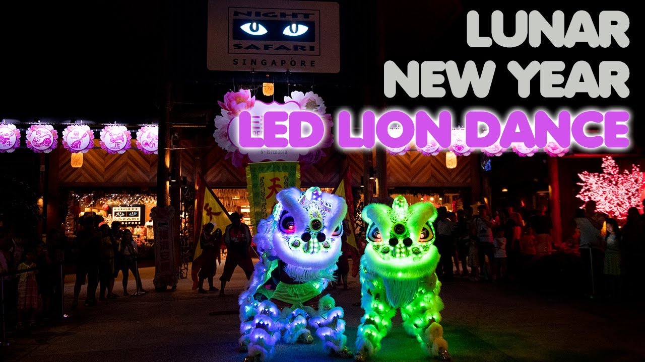 LED Majestic Lion Dance at Night SAFARI - YouTube