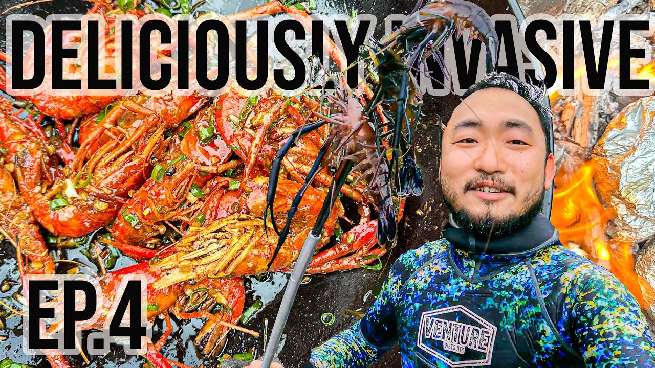 DELICIOUSLY INVASIVE Ep.5 | Freshwater Prawns in Hawaii - YouTube
