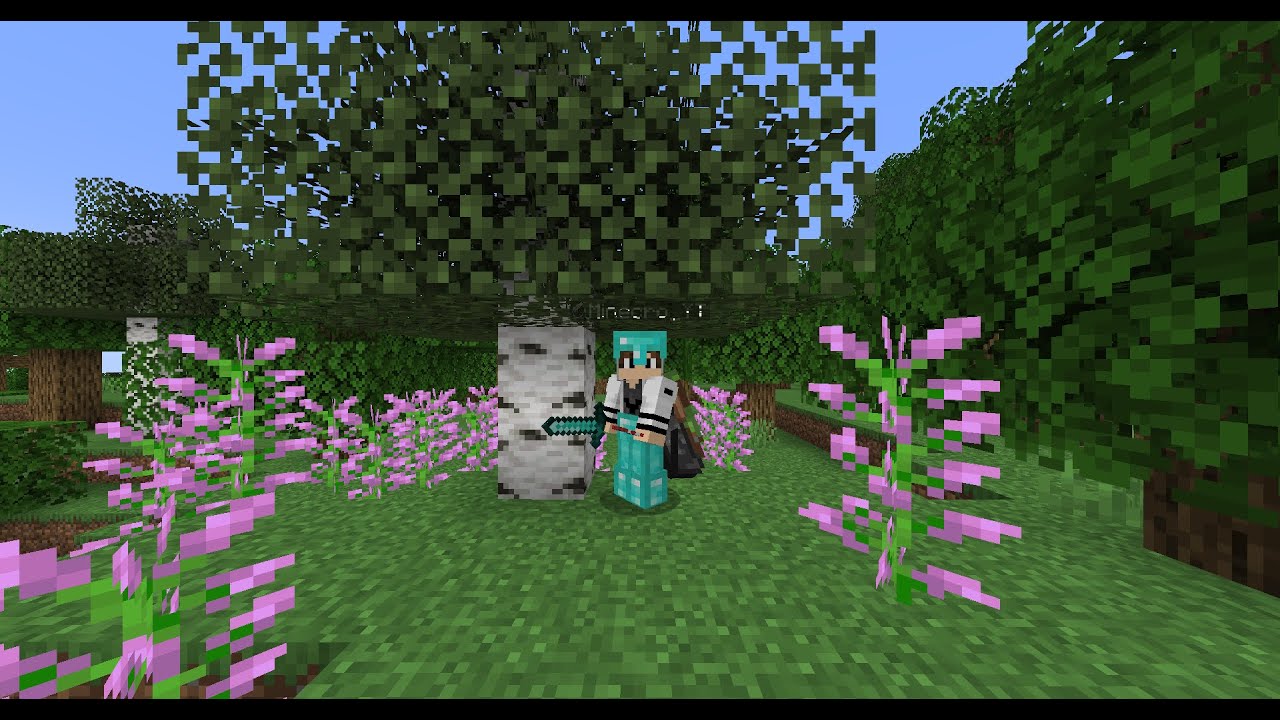 23smp 1화 - smp의 첫걸음 [23smp] - YouTube