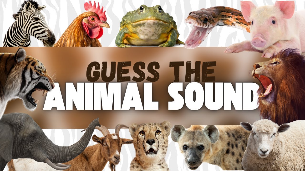 Guess the Animal by the Sound — Crazy Ending with All 12! | Learning ...