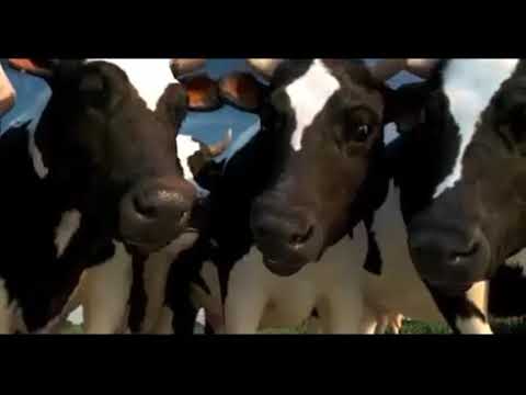 Laciate samo mleko 2008 reklama - YouTube