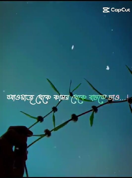 মশার কামর Youtube