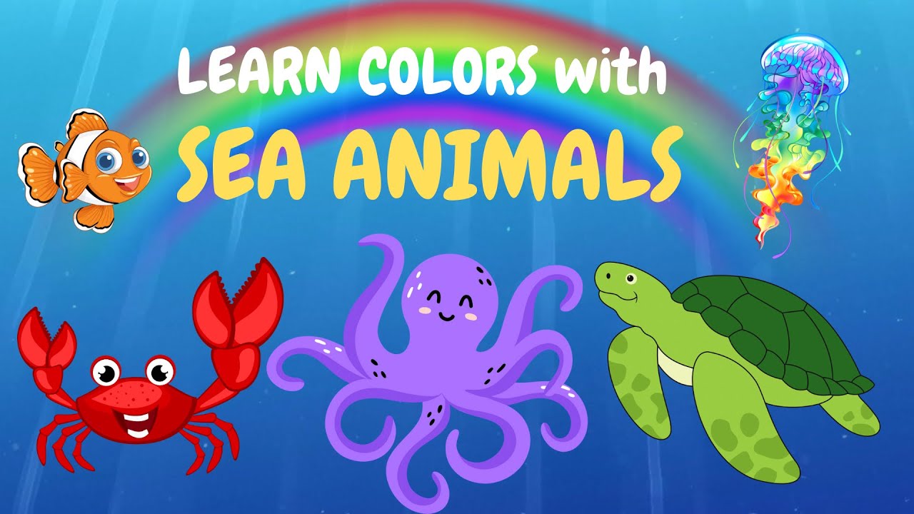 Learn Colors with Sea Animals! | Fun Educational Video for Kids ...