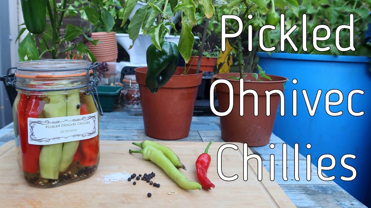 Pickled Chillies - A Simple Way to Preserve Your Chillies - YouTube