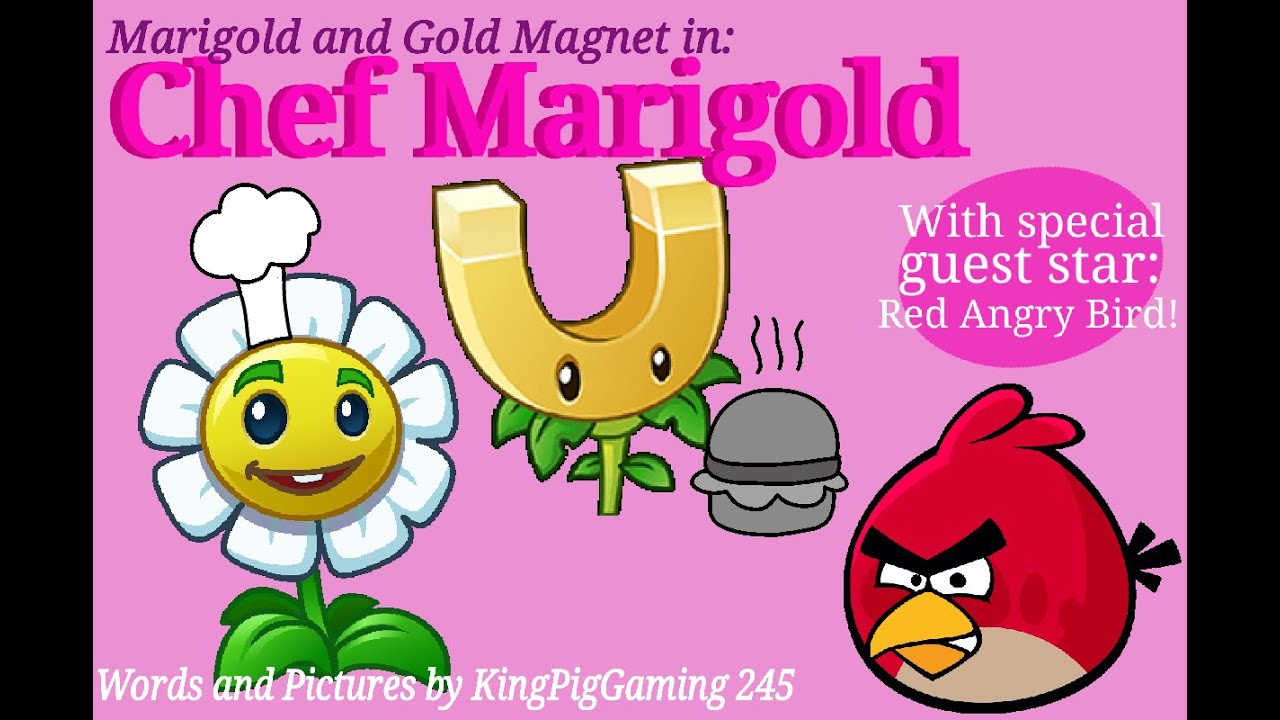 The Marigold and Gold Magnet Show S1 E03 Chef Marigold - YouTube