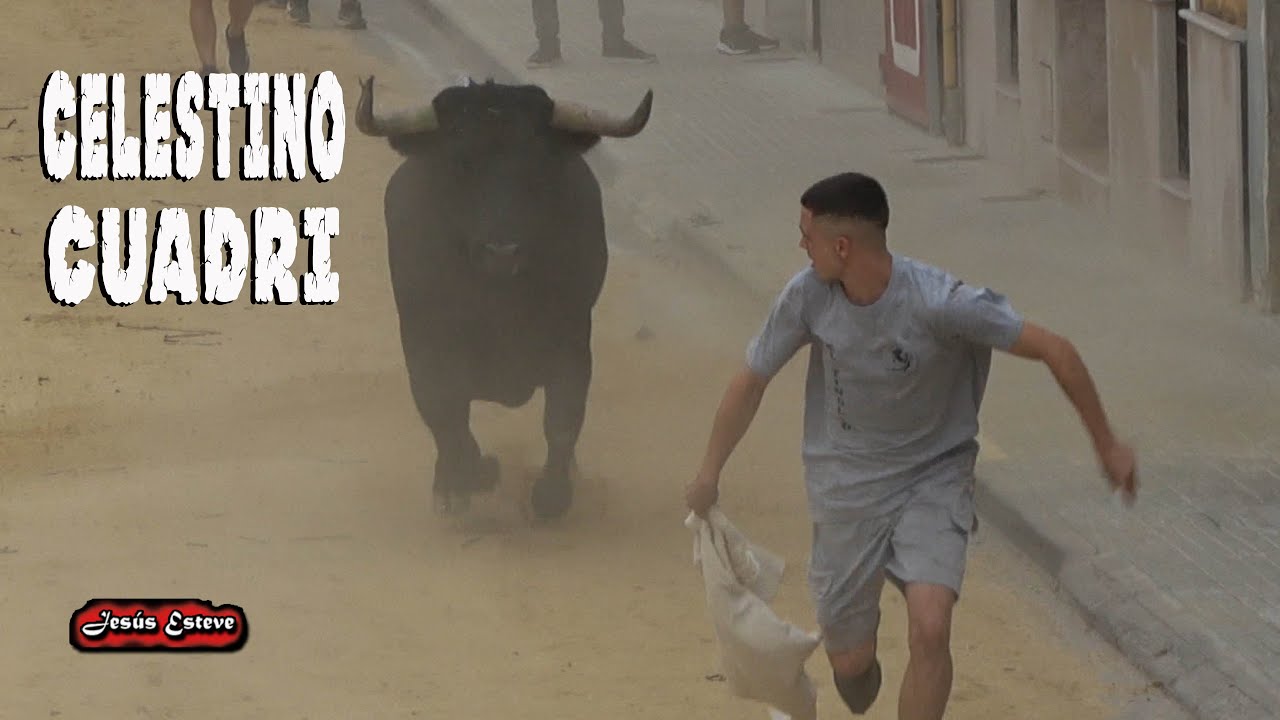 TORO DE CELESTINO CUADRI CANET - YouTube