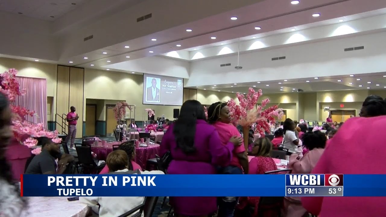 Wear It Well held 6th annual Pretty in Pink fundraiser for breast ...