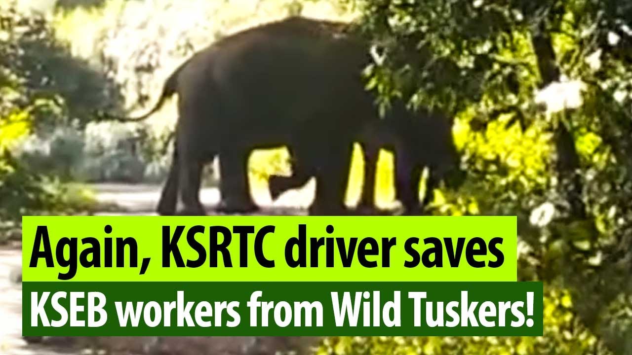 Shocking video: KSEB workers helped by KSRTC from wild elephants - YouTube