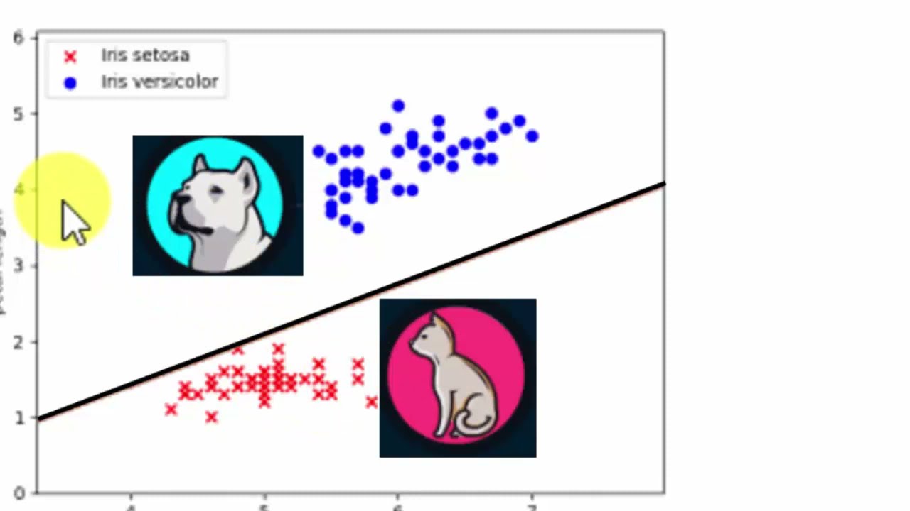 Perceptron simple. Parte 1 - YouTube