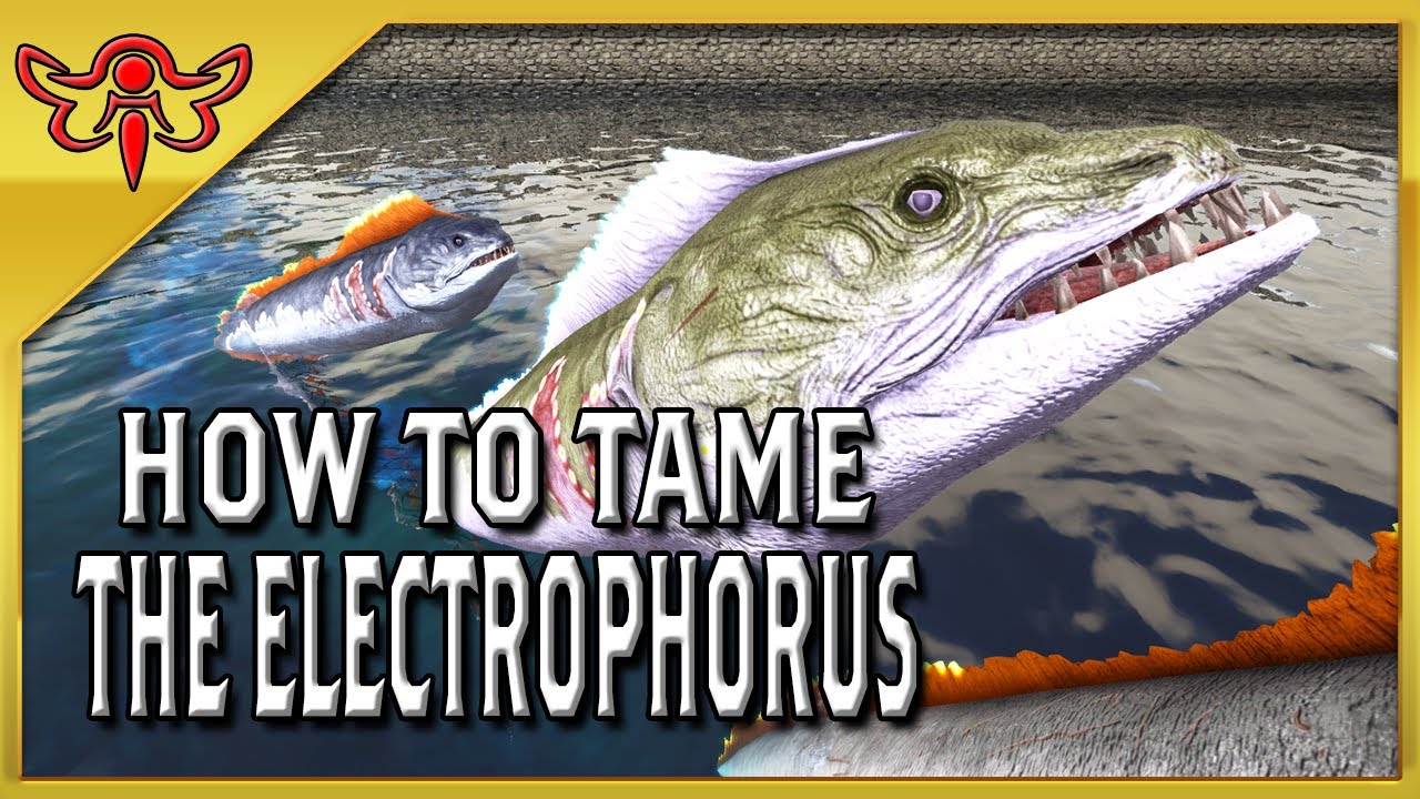 ARK: Survival Evolved Tutorial - How to Tame the Electrophorus - YouTube