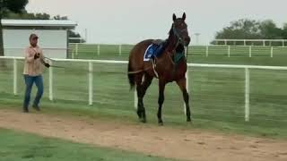 Full View Galleries | Highlander