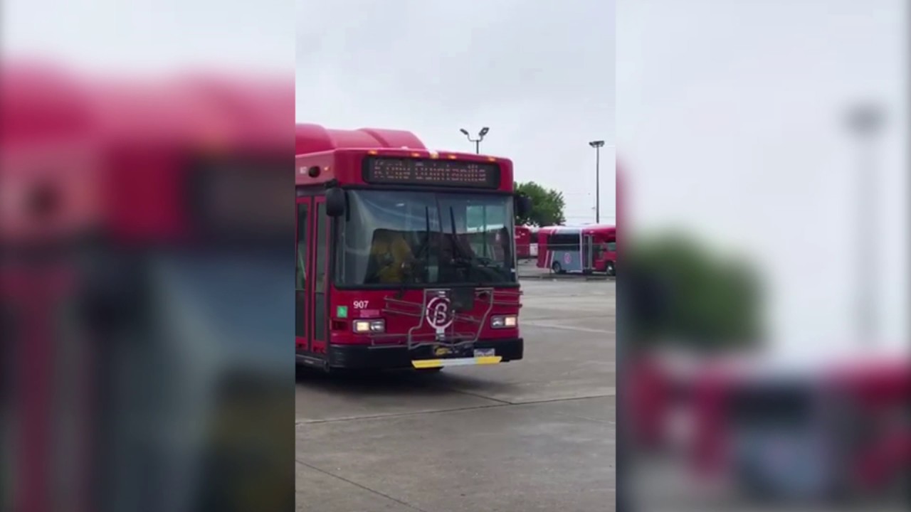 Celebrity Bus Driver - Dr. Quintanilla - YouTube