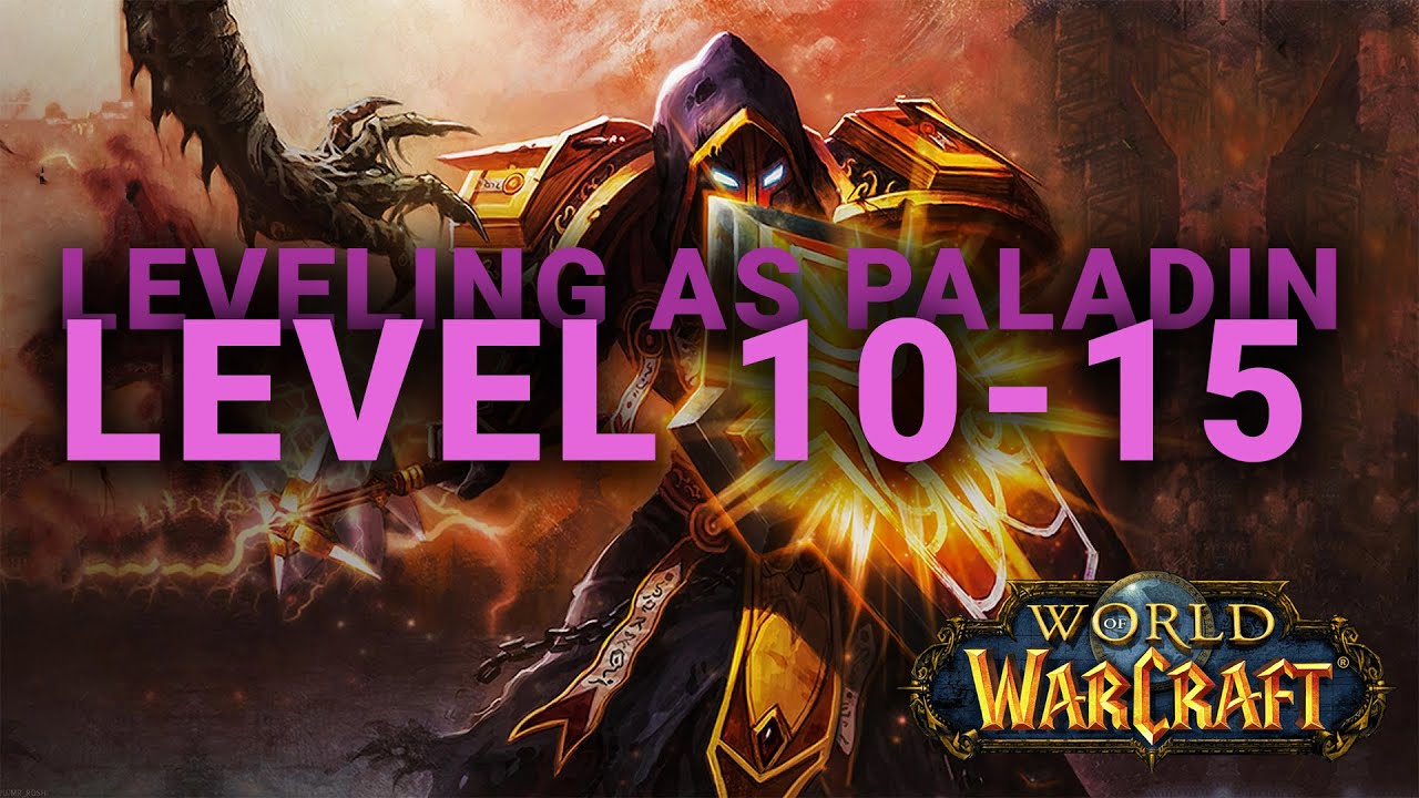 Leveling up my Paladin in World of Warcraft: A Journey to Power! From ...