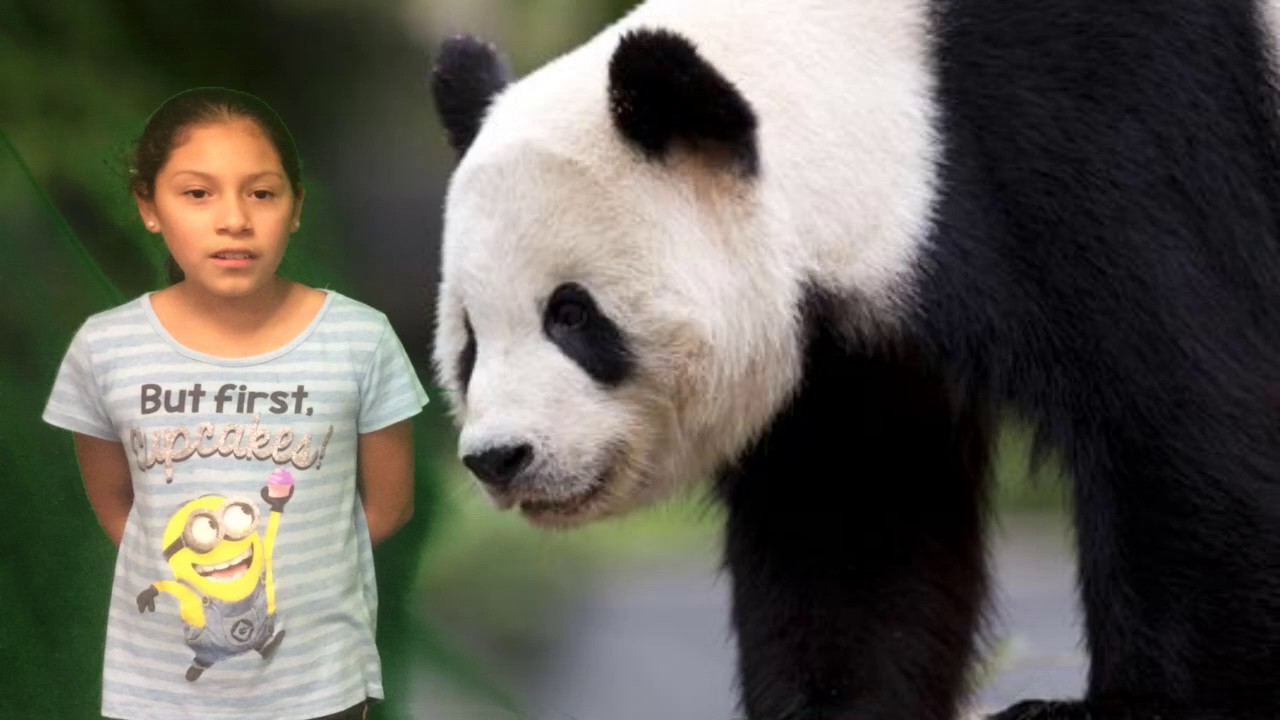 Research Facts-Humphrey 11 - YouTube