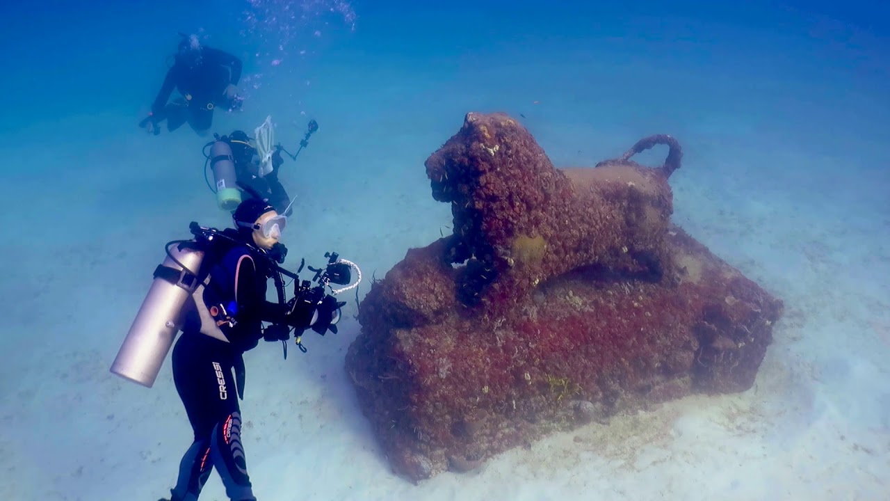 Neptune Memorial Reef Miami Nov 2018 - YouTube
