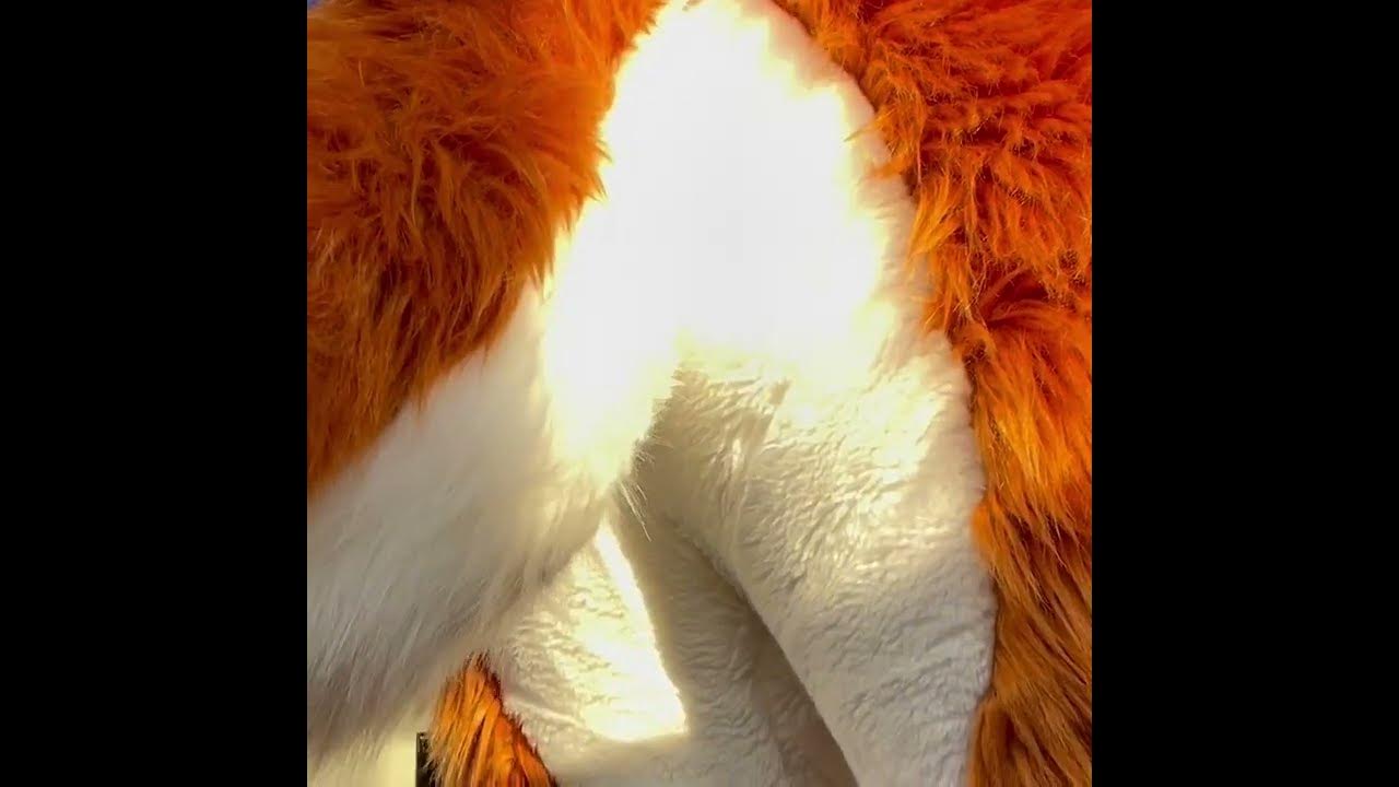 Fursuit Fart Youtube