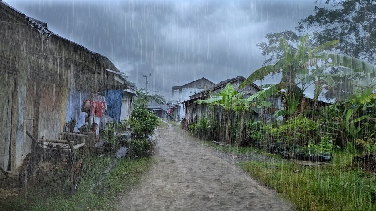 Walking Alone in the Heavy Rain. Forget All Worries of Poverty | The Quiet Village | Rain Drum ...