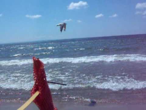 nickel beach port colborne #2 - YouTube