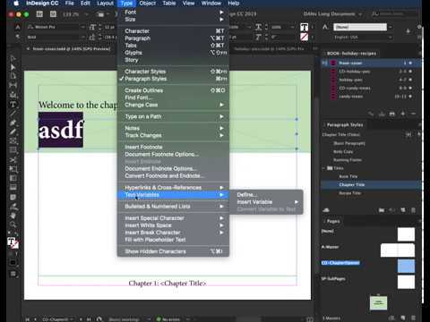Demo showing basic InDesign Book chapter title variable not ...