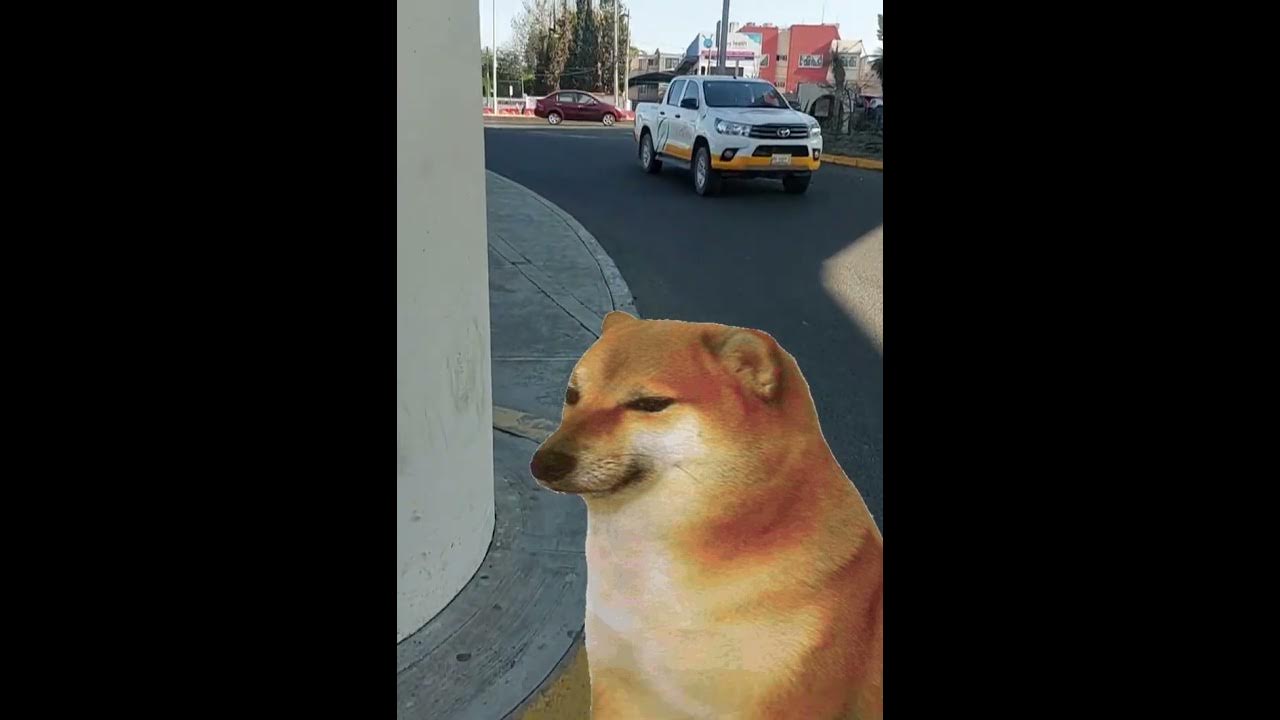 Cheems caminando por la ciudad - YouTube