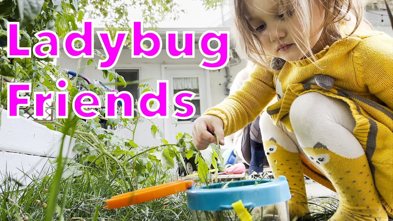 Catching Bugs!! - YouTube