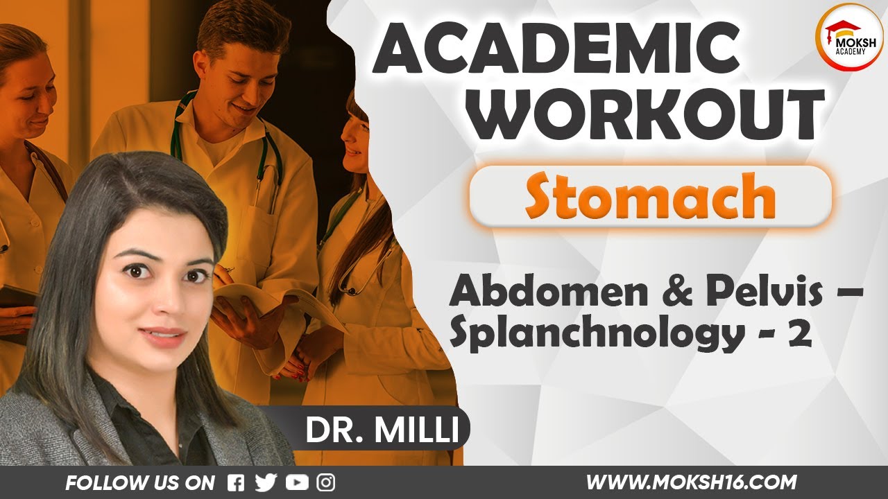 Academic Workout #245: Anatomy-Abdomen & Pelvis – Splanchnology 2 - YouTube