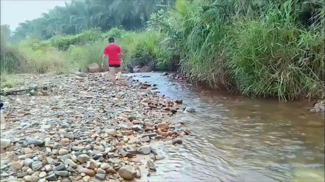 mandi bugil di sungai kecil dengan pemandangan yg indah - YouTube