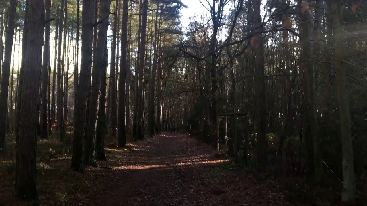 Wandeling van het Jaar 2019 - Laakdal - Tussen Heide en Abdij - YouTube
