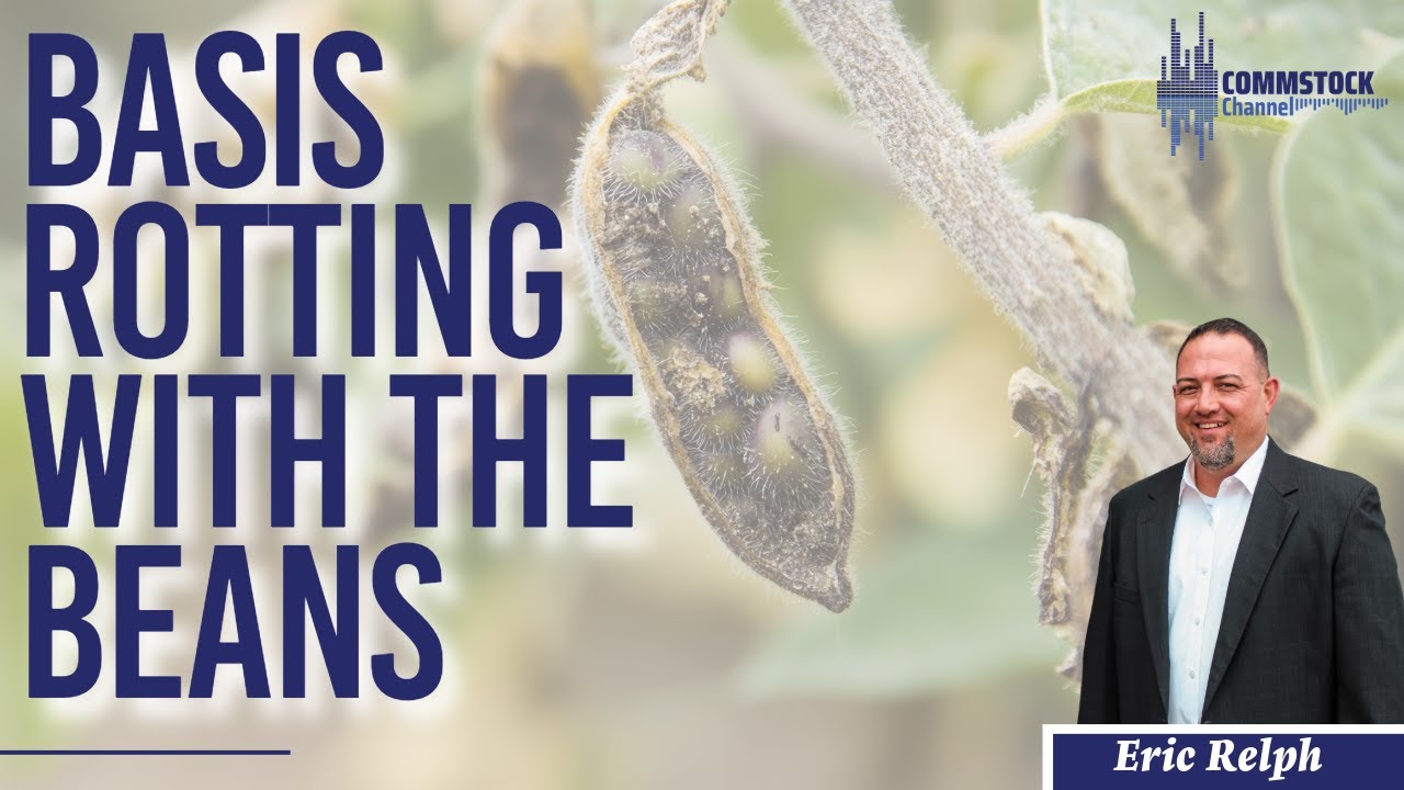 Basis Rotting With The Beans With Eric Relph - YouTube