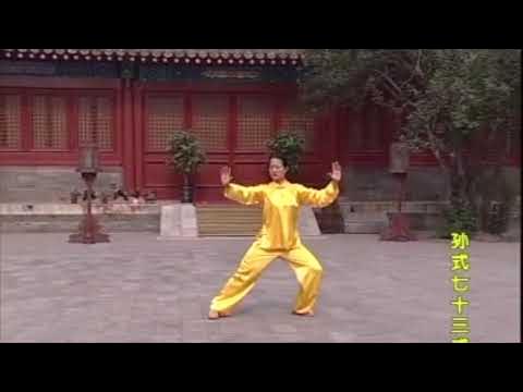 Sifu Amin Wu Sun Style Tai Chi 73 Form - YouTube