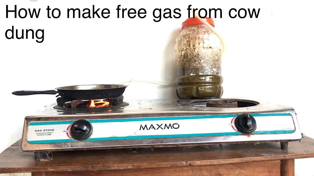 Free Gas from the cow dung / How to make free biogas from cow dung ...
