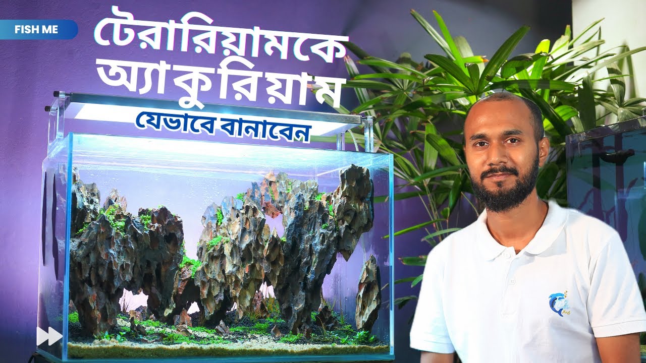 Terrarium vs Aquarium || Mystery in the Mountains || Planted Aquarium ...