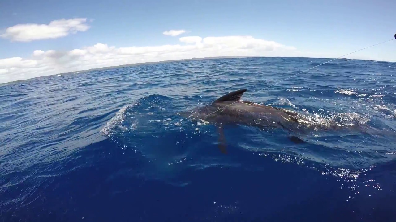 Sodwana Bay Marlin Fishing 13/01/2018 - YouTube
